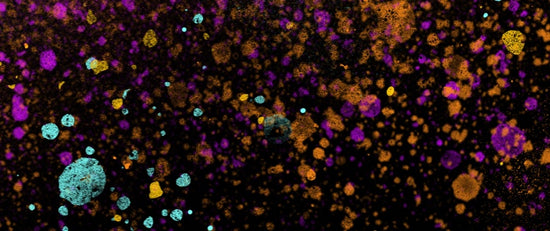 Guinness MicroDraught Collection – Guinness Webstore UK